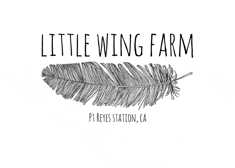 Buy Local from Marin County - Bay Area