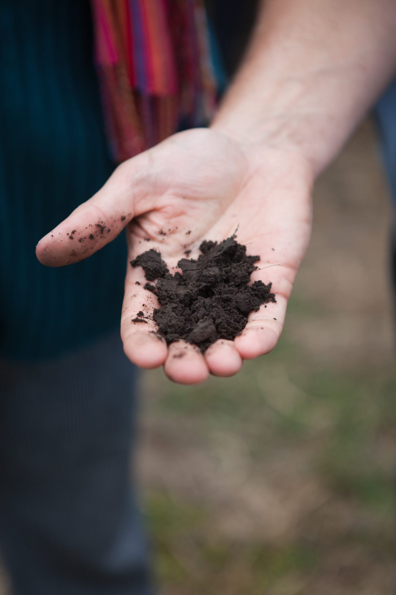 Hands-On Soil Health Workshop - Marin Agricultural Land Trust