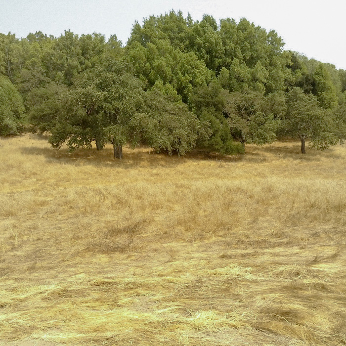 Where We Work - Marin Agricultural Land Trust (MALT)