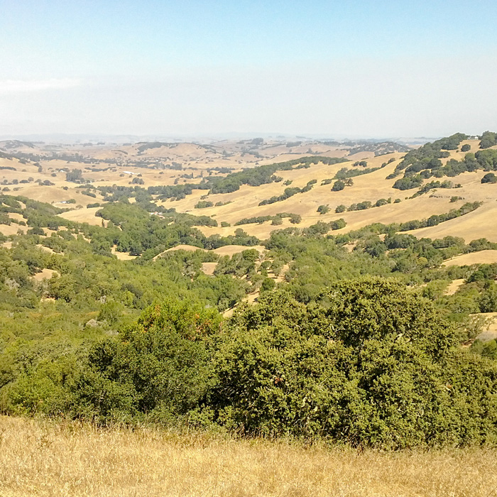 Where We Work - Marin Agricultural Land Trust (MALT)