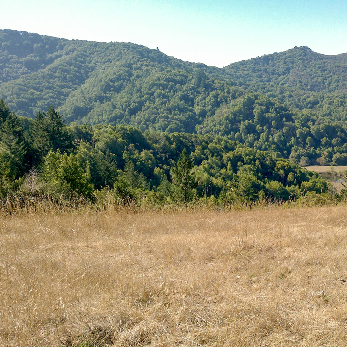 Where We Work - Marin Agricultural Land Trust (MALT)