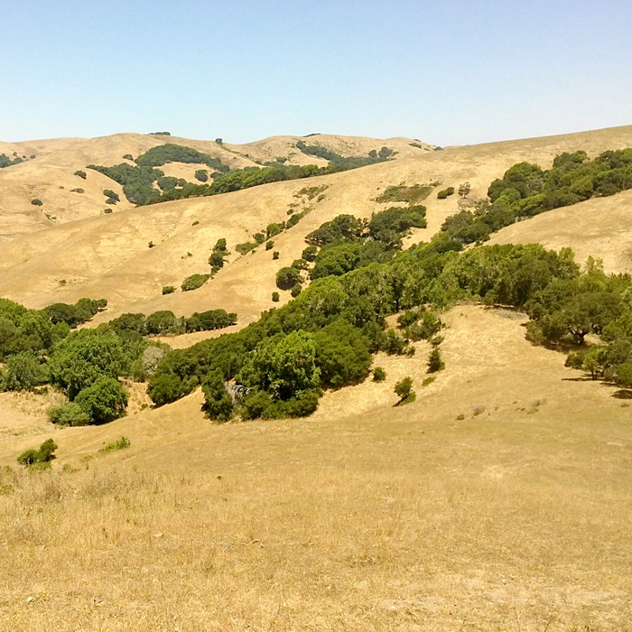 Where We Work - Marin Agricultural Land Trust (MALT)