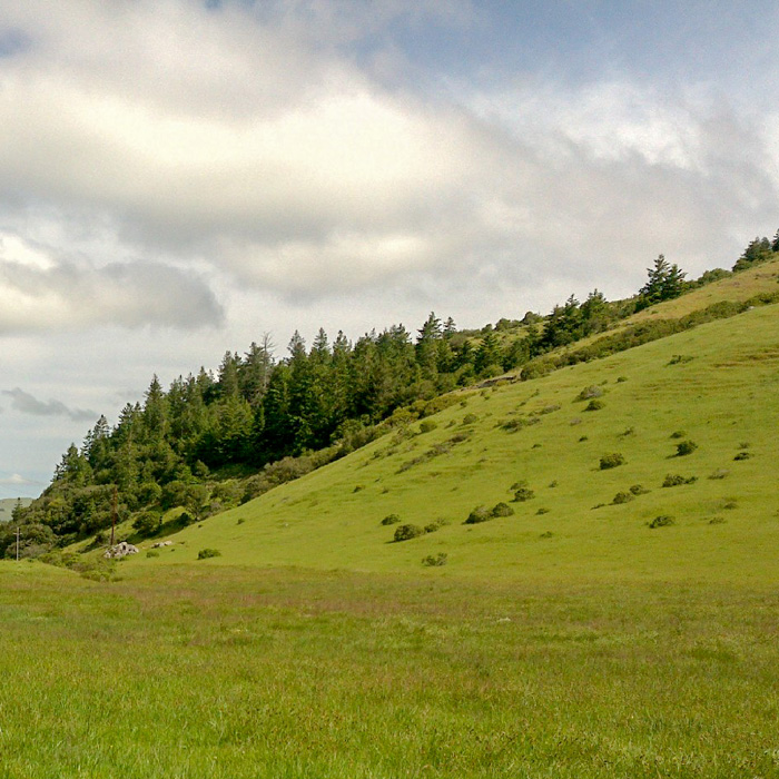 Where We Work - Marin Agricultural Land Trust (MALT)