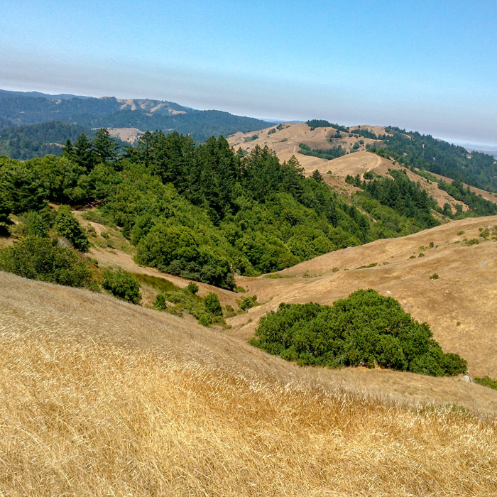 Where We Work - Marin Agricultural Land Trust (MALT)