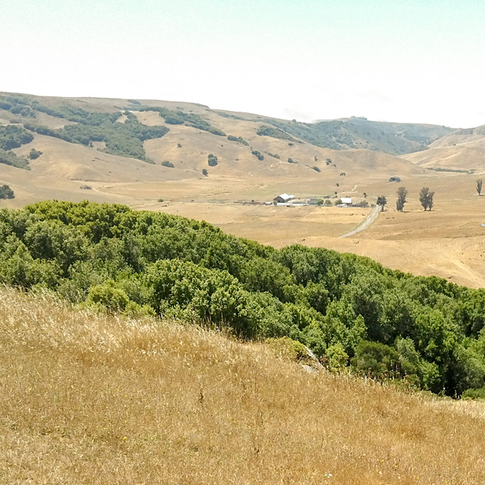 Where We Work - Marin Agricultural Land Trust (MALT)