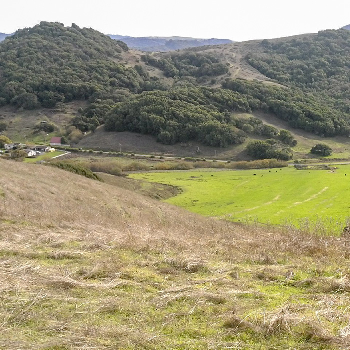 Where We Work - Marin Agricultural Land Trust (MALT)