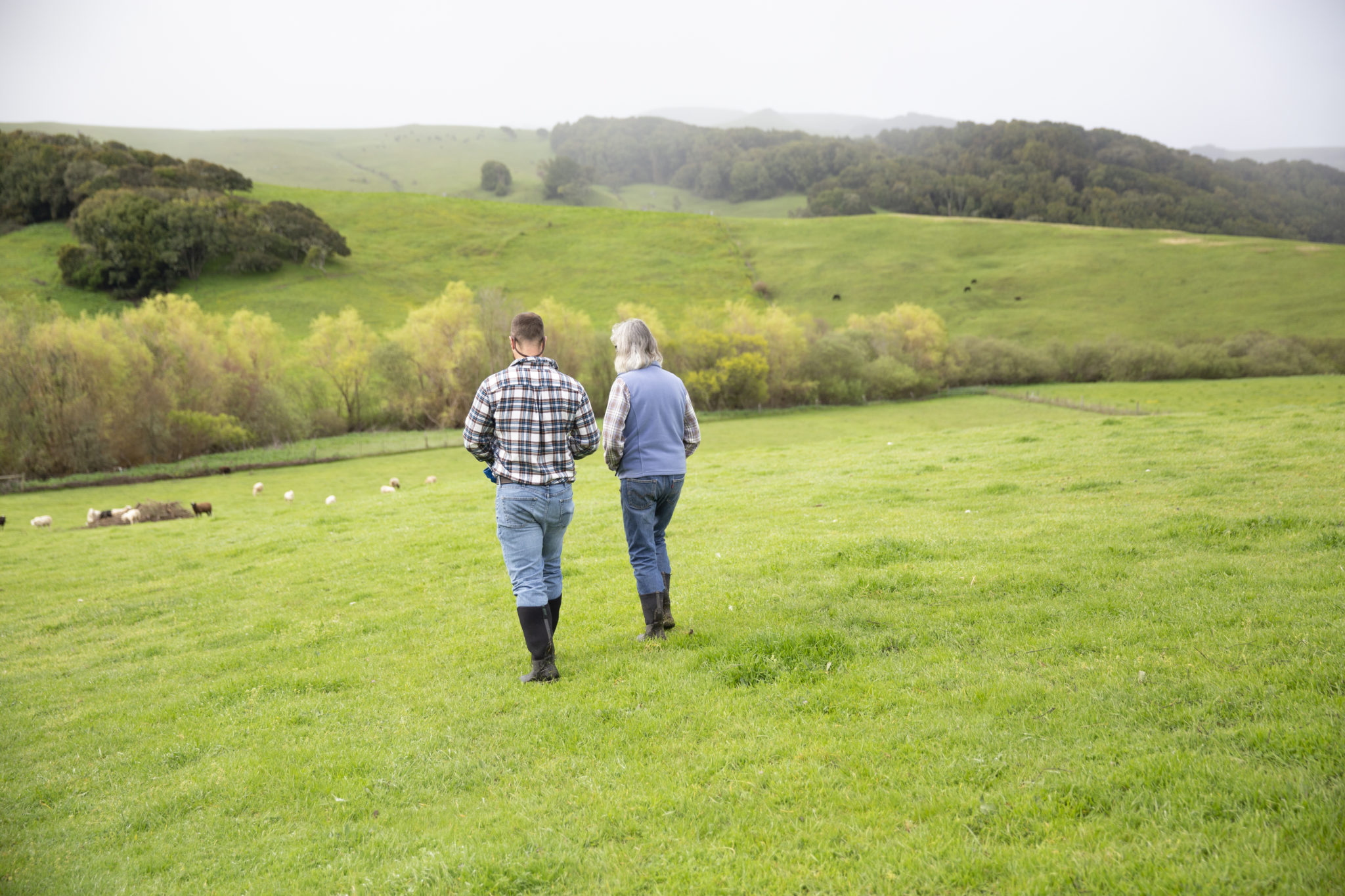 Conservation Easement Monitoring - Marin Agricultural Land Trust