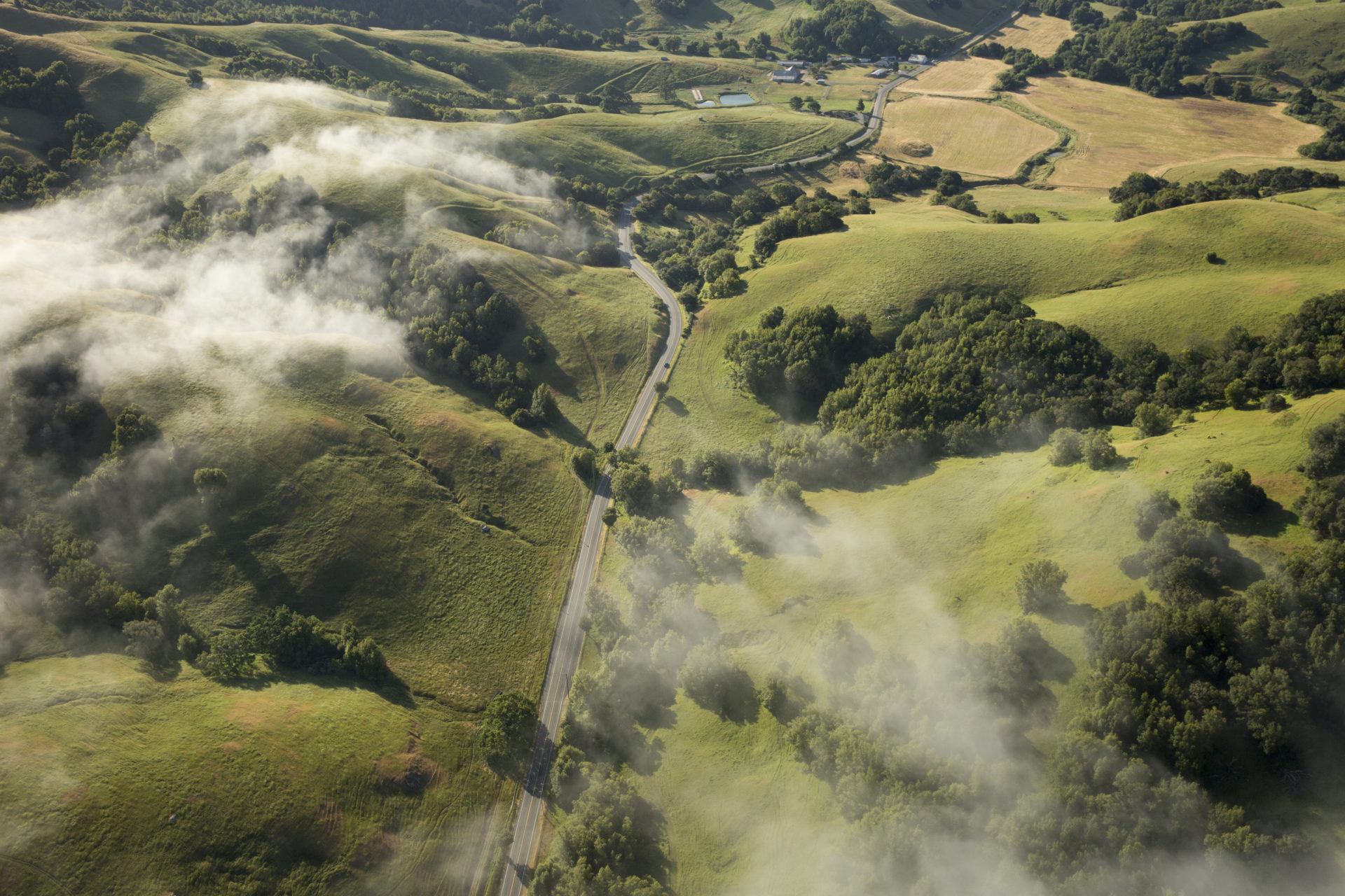 40 Years of Farmland Protection - Marin Agricultural Land Trust
