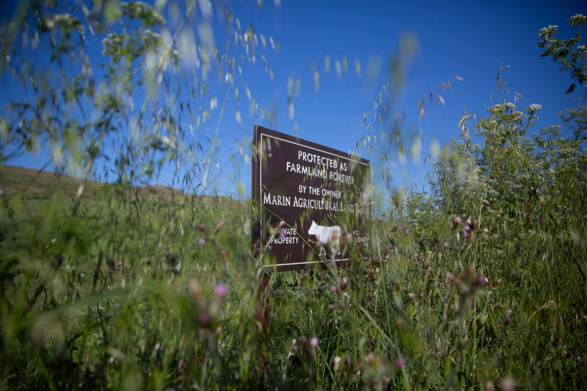 Life of a MALT Sign: A Photo Essay - Marin Agricultural Land Trust