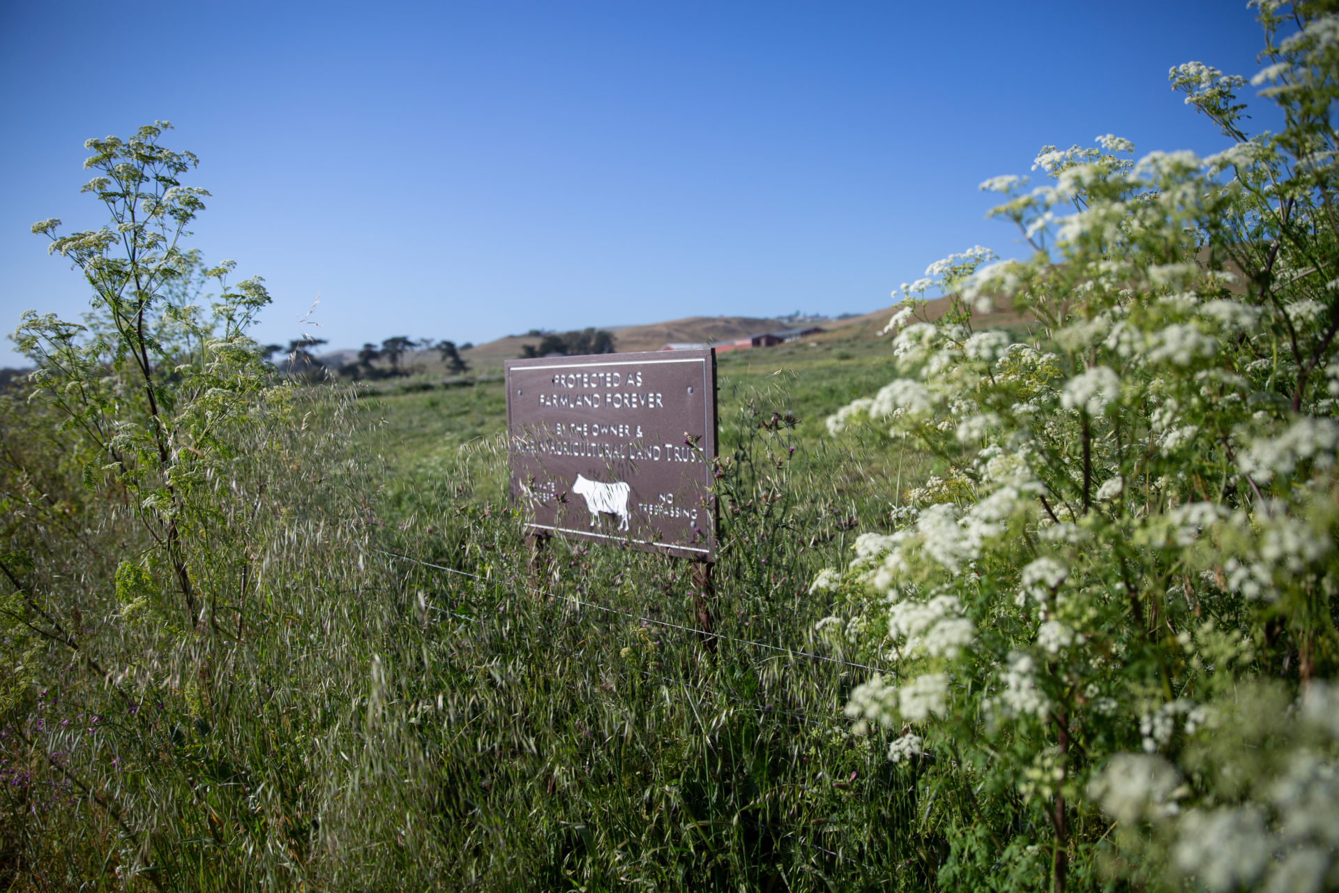 FAQ on MALT Practices - Marin Agricultural Land Trust
