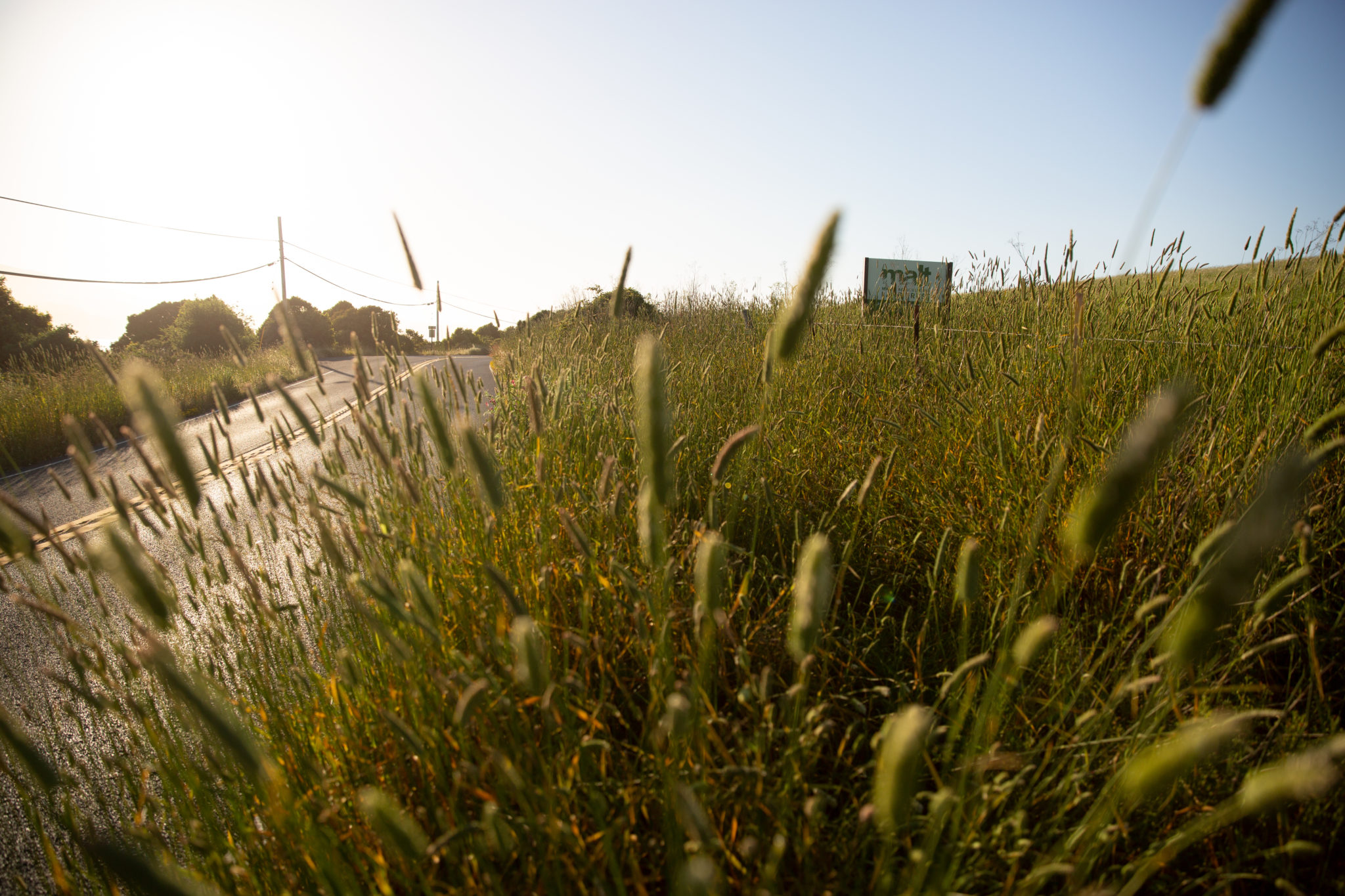 Life of a MALT Sign: A Photo Essay - Marin Agricultural Land Trust