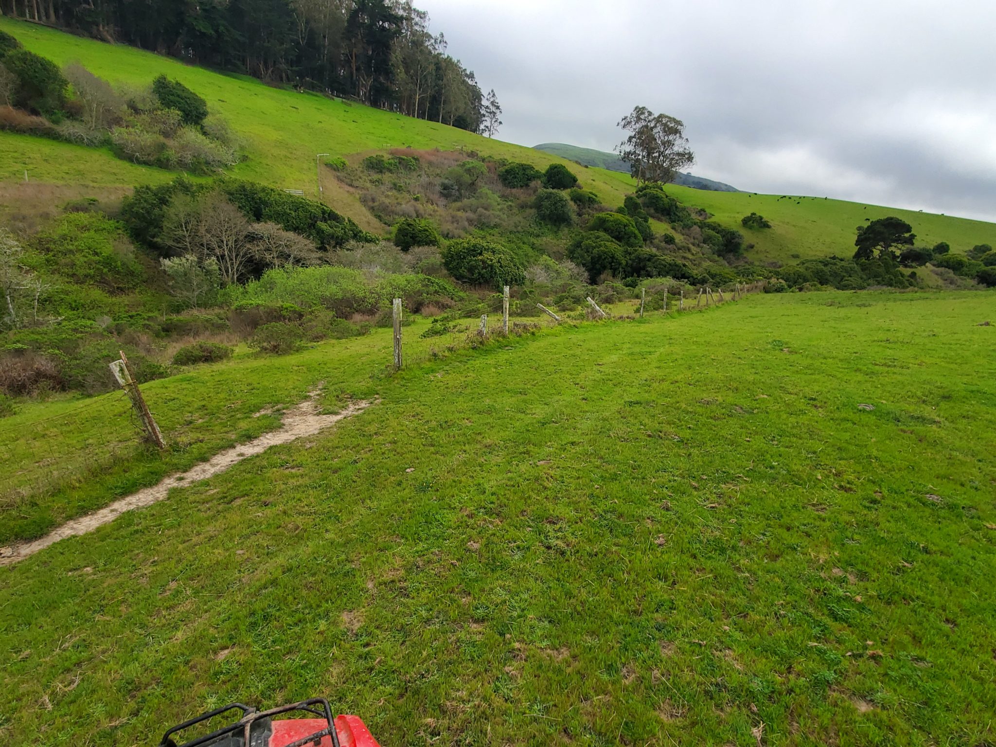 Stewardship Spotlight: Creek Fencing at Brazil Ranch - Marin ...
