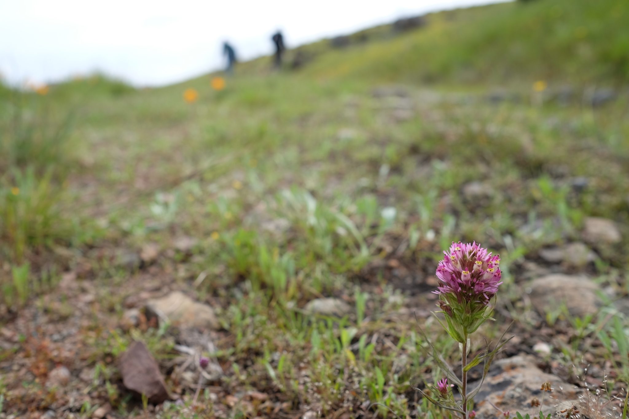 Together, We Turned 2021 Into a Successful Year for MALT - Marin ...