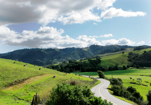 Easy Hikes in Marin County