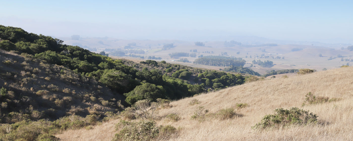 Our Native Land Acknowledgment - MALT