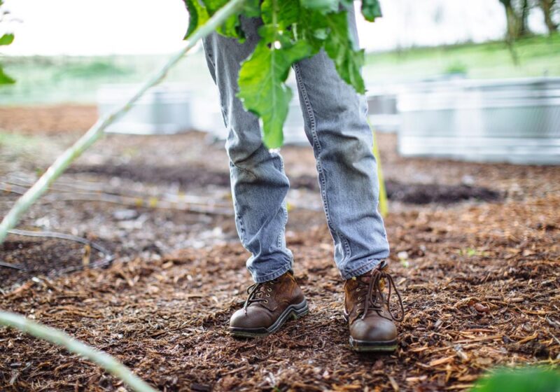 Meet Faith Welch, Marin County’s Newest Farmer