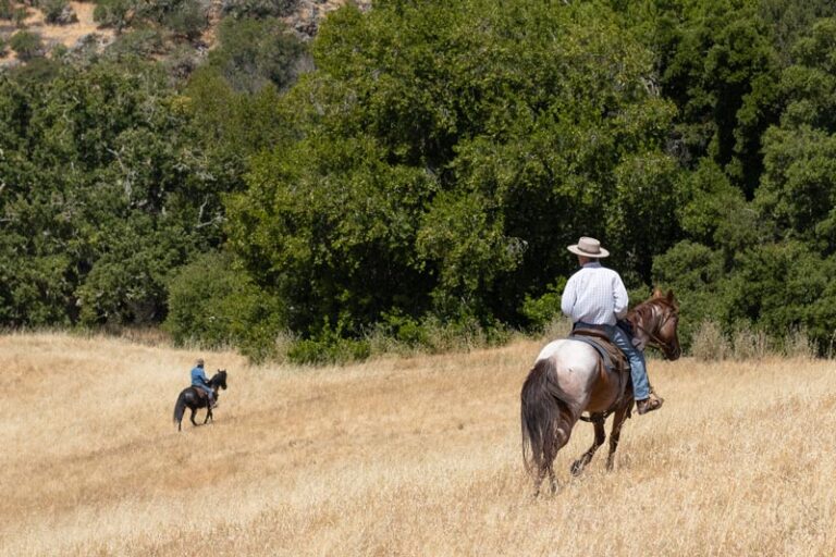Bakit Gumagamit Pa rin ng Kabayo ang Ilang Ranchers